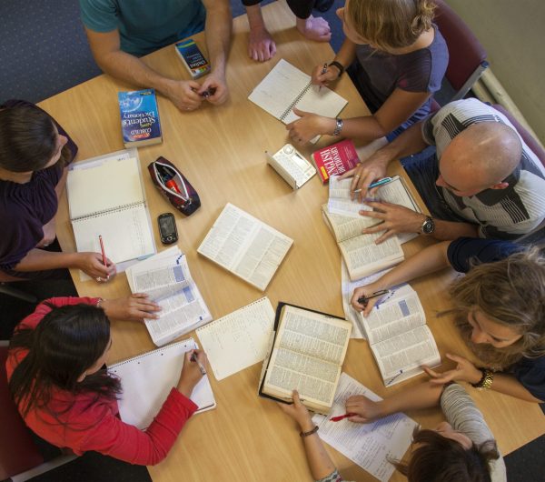 Study English at an English Language School in New Zealand